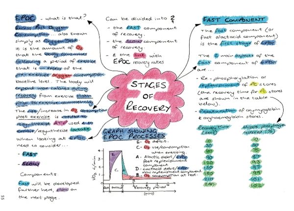 GCSE Simplified - Physical Education, Gcse